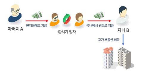 국세청 편법증여 통한 고가 아파트 매입에 세무조사 착수
