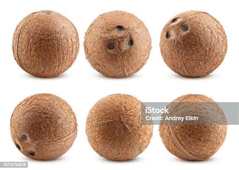 코코넛 전체 필드의 깊이 전체 흰색 배경 클리핑 패스 절연 0명에 대한 스톡 사진 및 기타 이미지 0명 갈색 개체 그룹 Istock