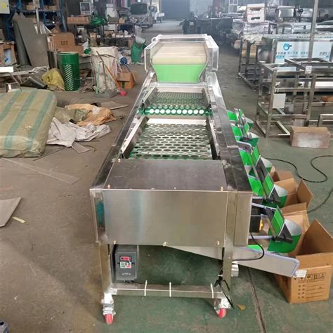 Onion Sorting And Grading Machines Jujube Olive Walnut Sorting Machine Buy Automatic Tomato