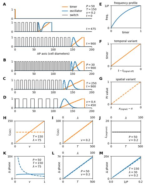 Clock And Timer A Example Simulation Output For The Parameter Values Download Scientific