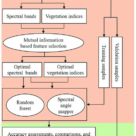 The Framework For Detecting Diseased Eucalyptus Trees Based On Uav