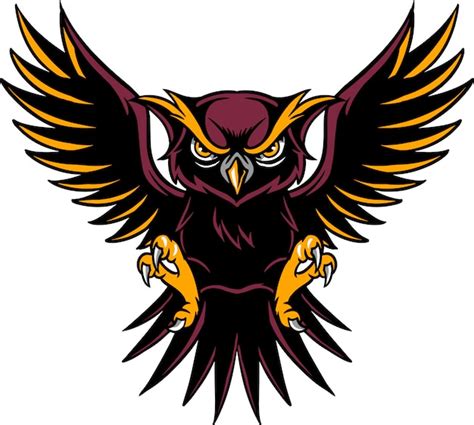 Premium Vector Owl