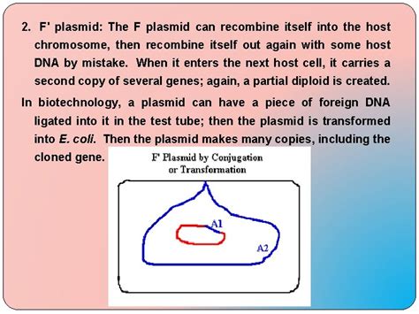 Complimentation Test In Genetics Complementation Occurs When Two