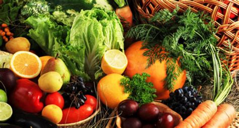 ЗӨВЛӨГӨӨ ДАРХЛАА ДЭМЖИХ ХООЛ ХҮНС