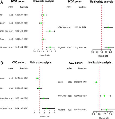 Risk Score Is An Independent Prognostic Factor For Hcc Patients
