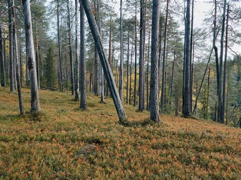 Do Not Use `requirementstxt` Python Real Python