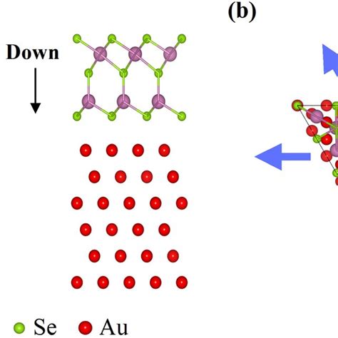 A The Initial Configuration Of The Monolayer In2se3 Metal Download Scientific Diagram