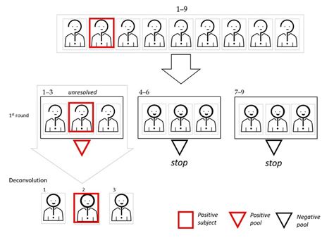 Graphic Representation Of The Mono Dimensional 1d Pooling Approach Download Scientific