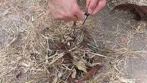 แท่งแมกนีเซียม แท่งจุดไฟ พกพา สำหรับ จุดไฟ และ สร้างประกายไฟ อุปกรณ์เดินป่า ตั้งแคมป์ Shopee