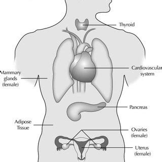 Effects Of Some Specific EDCs On The Male Reproductive System Download Table