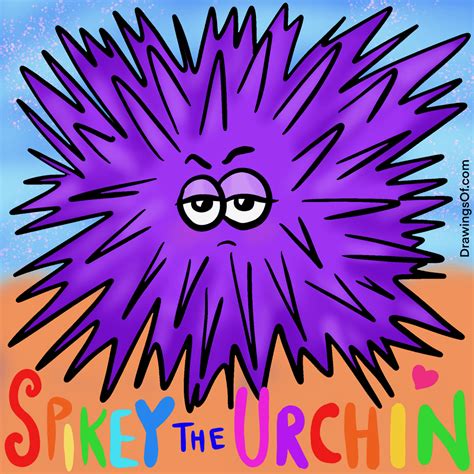 Sea Urchin Drawing Step By Step
