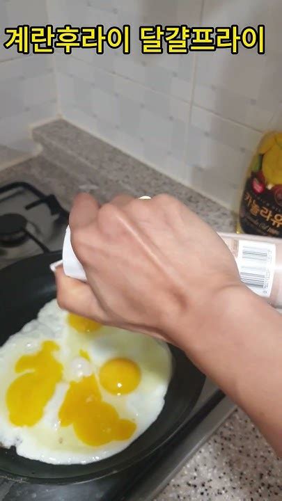 캠핑 요리 기본템 계란 후라이 달걀 프라이 Youtube