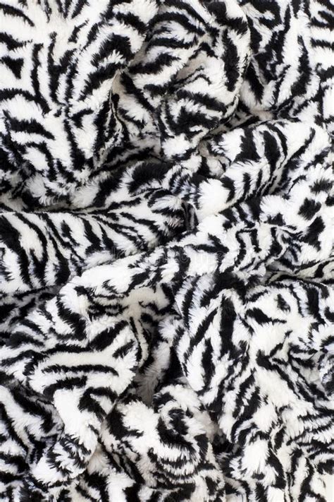 Zebra Fabric Texture Stock Image Image Of Graphic Fragment 16273823