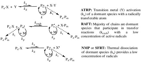 Three Main Methods For Controlledliving Radical Polymerization Download Scientific Diagram