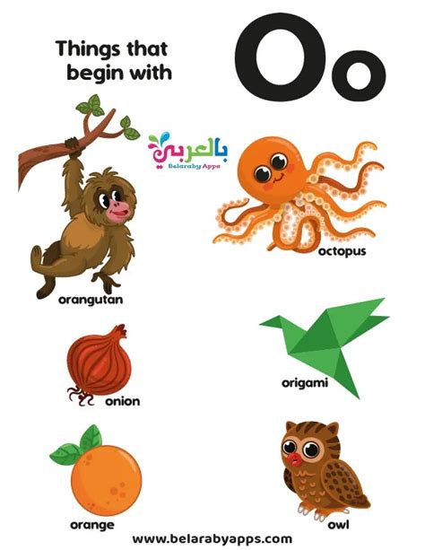 أوراق عمل الحروف الانجليزية Letter O O لرياض الأطفال ⋆ بالعربي نتعلم