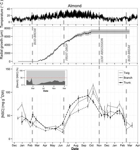 Comparison Of Phenological Traits Growth Patterns And Seasonal Dynamics Of Non Structural