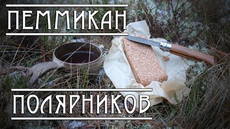 ПЕММИКАН ПОЛЯРНИКОВ. РЕЦЕПТ и ИСТОРИЯ/ Antarctic Pemmican Recipe - YouTube