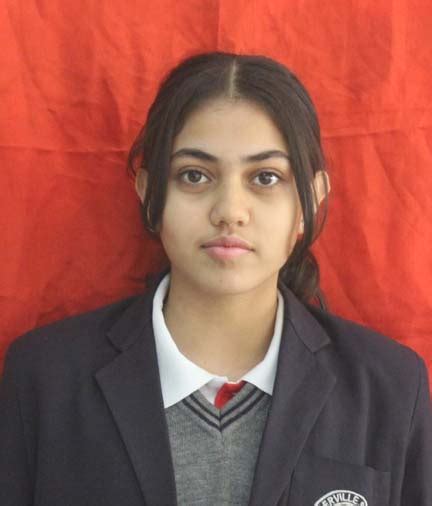 somerville school noida