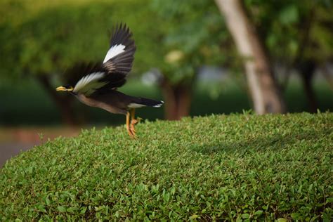 User Queries Text Classification Using Deep Neural Networks Medium