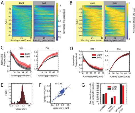 Figures And Data In Effects Of Visual Inputs On Neural Dynamics For