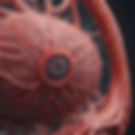 Understanding Vascular Dilation Insights And Impacts