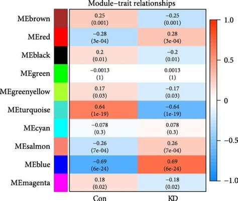 Development Of The Creation Of Wgcna Modules A Cluster Dendrogram Of Download Scientific