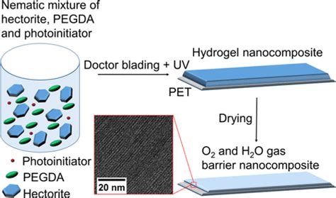 Gas Barriers From In Situ Polymerized Polyethylene Glycol Diacrylate Clay Nanocomposites For