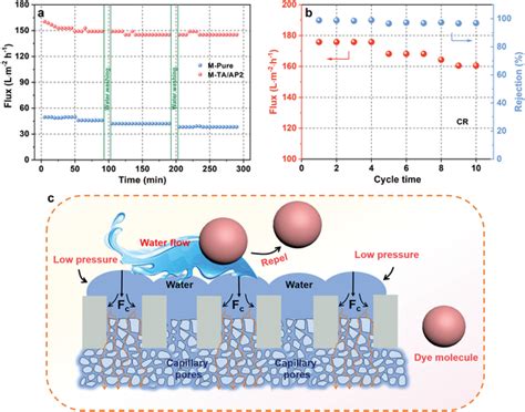 A Anti‐fouling Performance Of Different Membranes Against Dye Solution Download Scientific