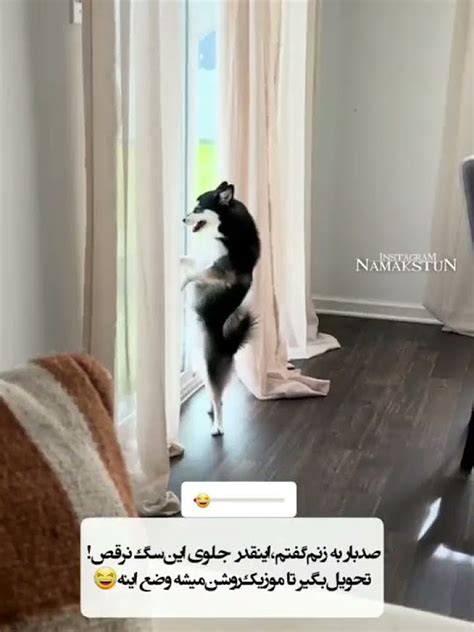 سگزنش برای کی میرقصیده جلوپنجره؟🤣 Youtube