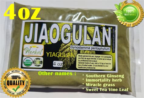 Jiaogulan Herb Powder Jiaogulan Leaf Gynostemma Pentaphyllum