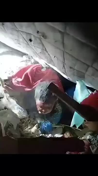 Nada Ahmed On Linkedin This Makes My Heart Break Into A Million Pieces