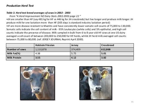 Australian Jersey X Holstein Crossbreds And Australian Friesian Sahiw