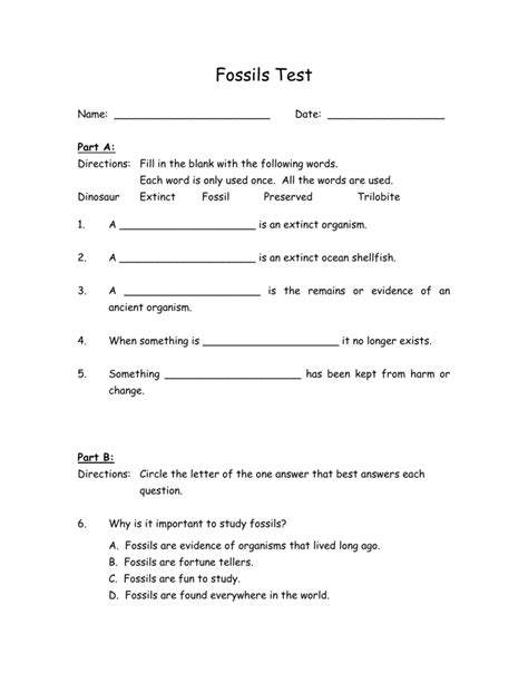 Fossils Test