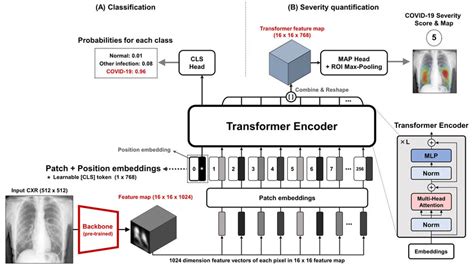 Proposed Framework And Vision Transformer Model For Diagnosis And