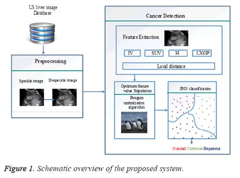 Liver Cancer Detection And Classification Based On Optimum Hierarchical