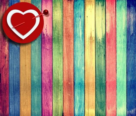 Adrienne Irvine Celebrations Gay And Lesbian Friendly Wedding Supplier Australian Same Sex