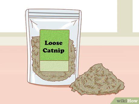 How To Give Catnip To Your Cat Pet Tips