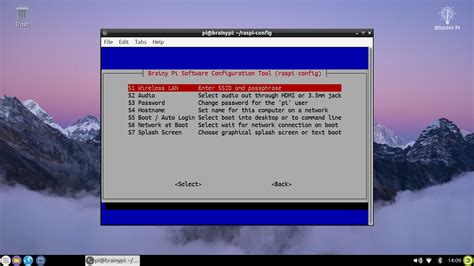 Raspberry Pi Compatiblity Brainy Pi Home