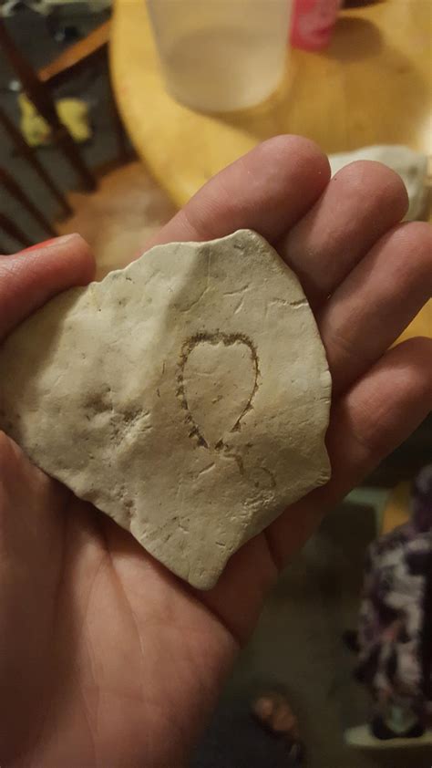 Any Help Identifying Fossil Found In Central Texas Around Lake Georgetown Fossils