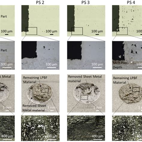 Polished And Etched Cross Sections As Well As Fracture Surface Of The Download Scientific