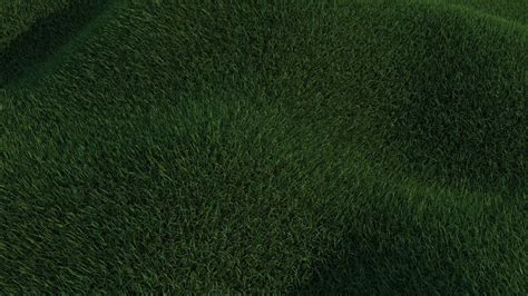 Windy Grass Blender Geometry Node System 3d Model Animated Cgtrader