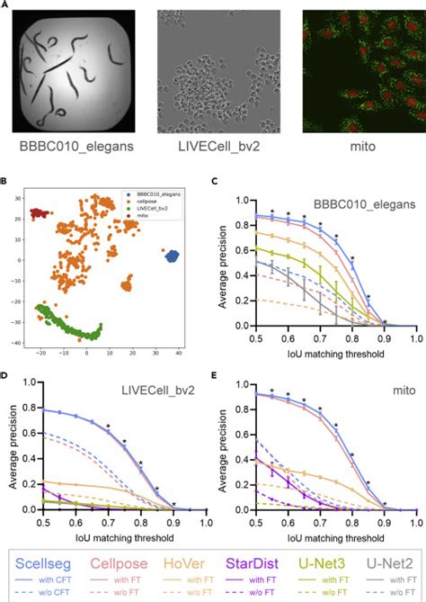 Scellseg A Style Aware Deep Learning Tool For Adaptive Cell Instance Segmentation By