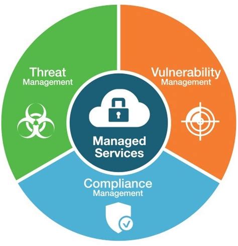 Vulnerability Management Protects Your Organization Riset