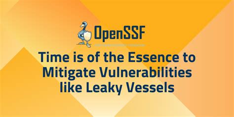 Time Is Of The Essence To Mitigate Vulnerabilities Like Leaky Vessels