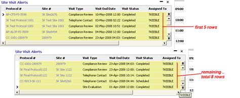 Get Total Number Of Rows Count Form The Siebel List Including Invisble