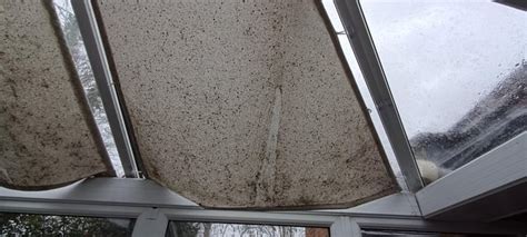 Mouldy Cotton Sheet Cleaning Rcleaningtips