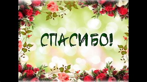 Картинки с надписью большое спасибо 70 фото