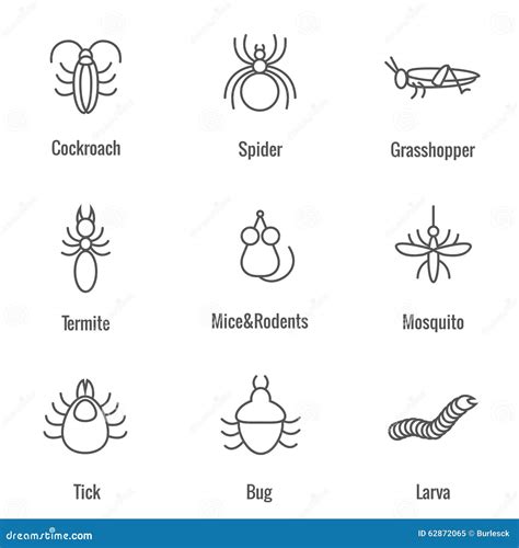 Insect Vector Linear Icons Set Stock Vector Illustration Of
