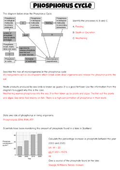 AP Environmental Science Unit Worksheets By Learnwithlaura TPT