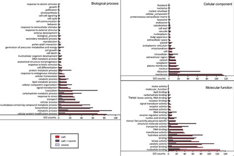 Functional Classification Of Over Expressed Transcripts In Leaves Of